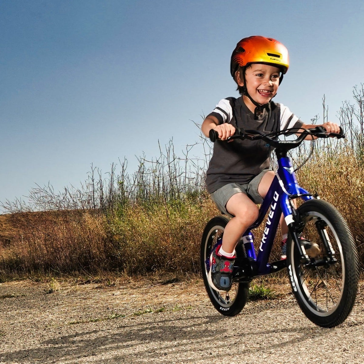 Meet the Alpha One & Alpha Two: The Ultimate First Pedal Bikes for Kid ...
