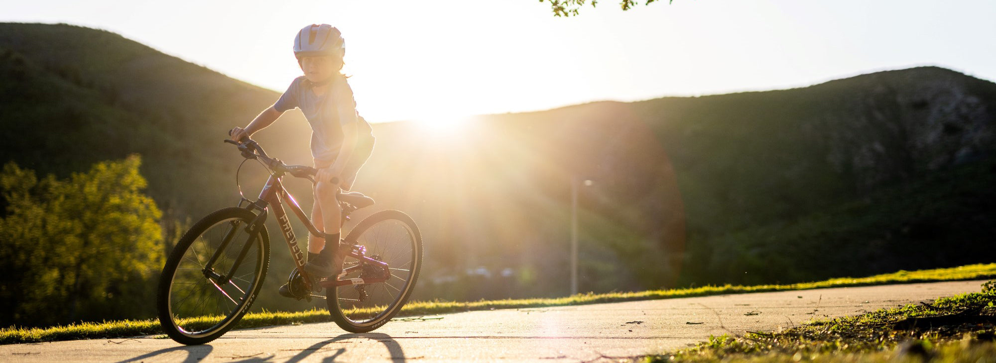 Prevelo Alpha Four｜24" Kid's Bike｜7 to 11 Years｜8 Speeds – Prevelo Bikes